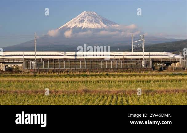 Japan, Honshu, Mount Fuji, Shinkansen Bullet Train passing through harvested rice fields below ...