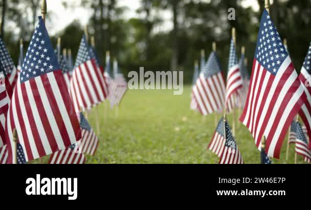 Us flags rows Stock Videos & Footage - HD and 4K Video Clips - Alamy