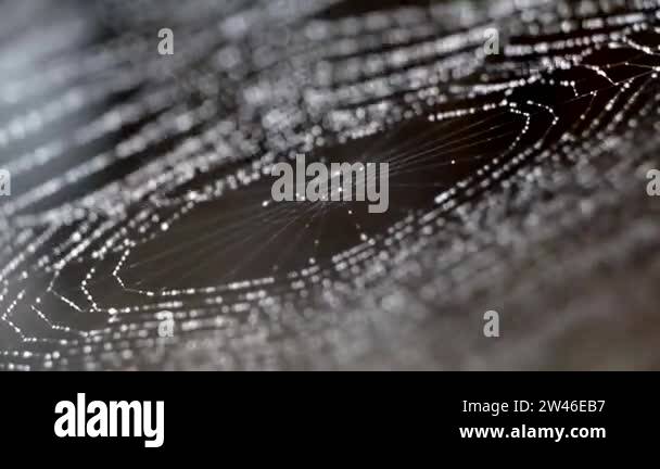 Wind spider Stock Videos & Footage - HD and 4K Video Clips - Alamy