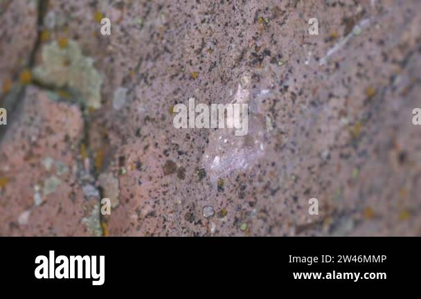 Ancient man cave painting and writing historic inscription graffiti on ...