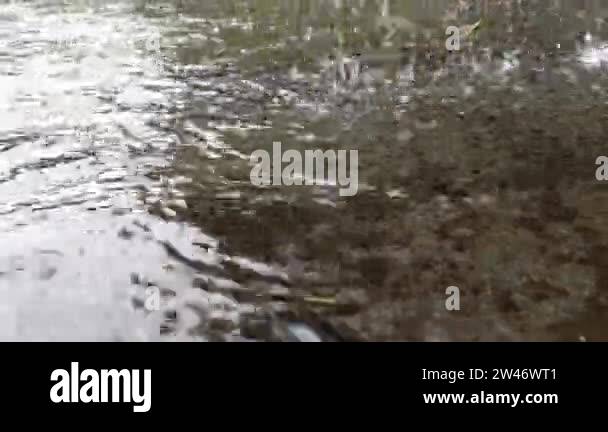 Rain falling on pavementRain water drop falling to the floor. The rain ...