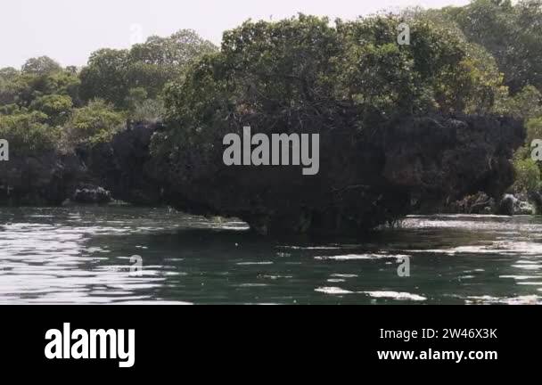 Lagoon at Kwale Island in Menai Bay, Mangroves with Reefs and Rocks ...