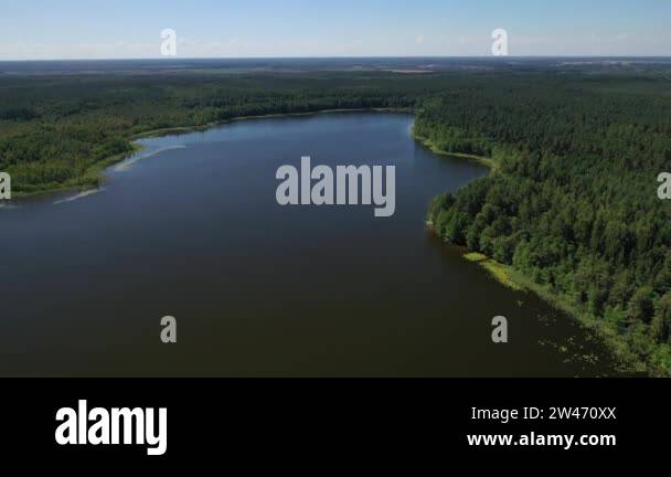 Top view of the lake Bolta in the forest in the Braslav lakes National ...