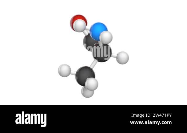 Alanine (symbol Ala or A) is a small non-essential amino acid in humans ...