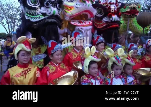 The lion and the snake Stock Videos & Footage - HD and 4K Video Clips ...