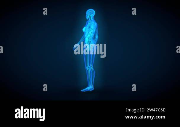 4 roentgen Stock Videos & Footage - HD and 4K Video Clips - Alamy