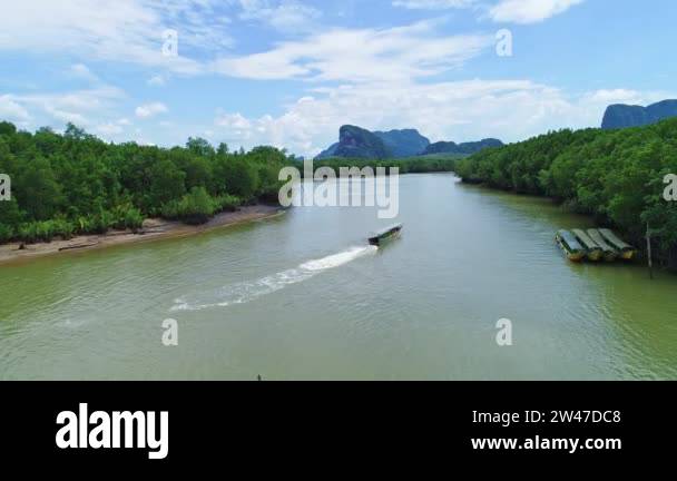 Aerial view Beautiful greenery mangrove forest with mountains peak ...