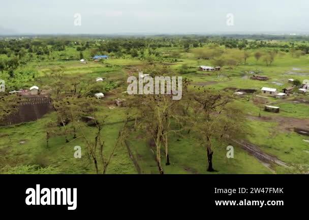 Manyara tree top Stock Videos & Footage - HD and 4K Video Clips - Alamy