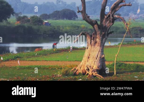 Man labor Stock Videos & Footage - HD and 4K Video Clips - Alamy