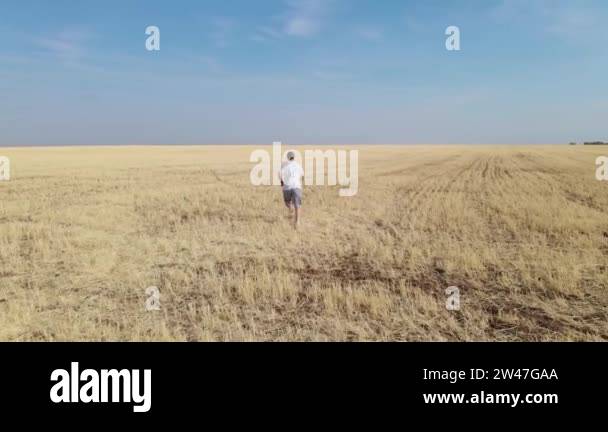 Athletic man runs across dried mown field after harvesting wheat into ...