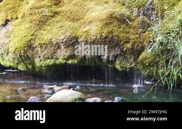 Waterfall at City Rauna, Latvia. River With a Rocky Bottom and Rauna ...