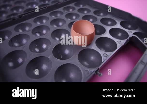 Broken food tray Stock Videos & Footage - HD and 4K Video Clips - Alamy