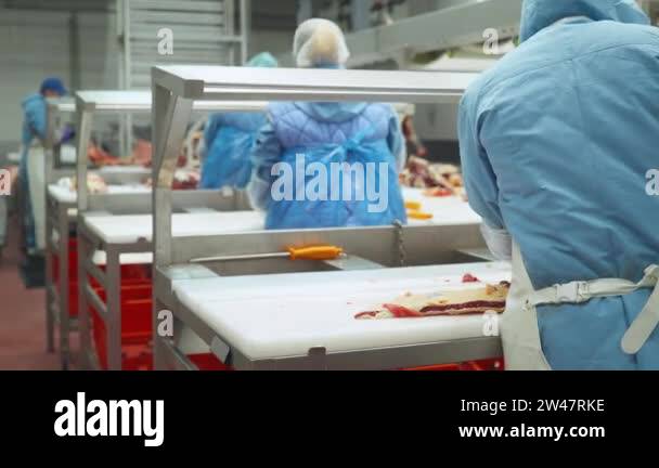 Professional butchers cuts beef carcasses, meat production and food ...