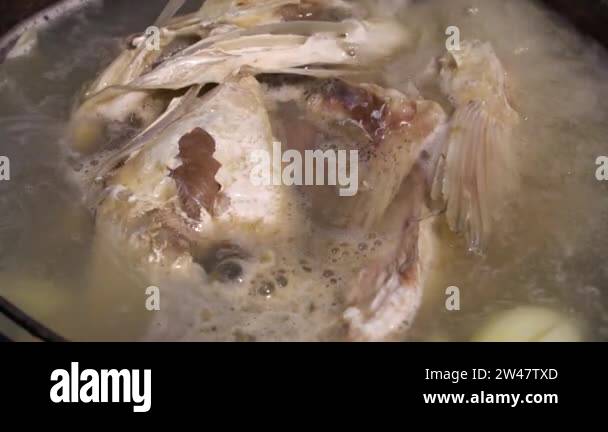 Fish parts Stock Videos & Footage - HD and 4K Video Clips - Alamy