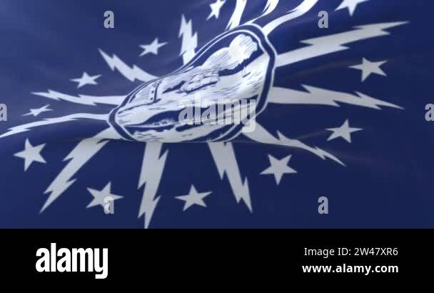 Buffalo city flag Stock Videos & Footage - HD and 4K Video Clips - Alamy