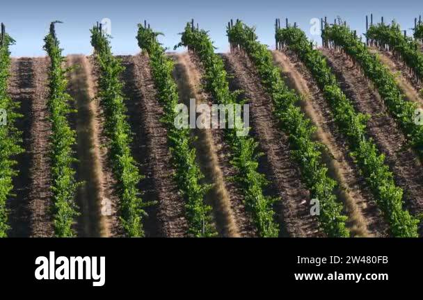 Tuscany from above beautiful region Stock Videos & Footage - HD and 4K ...