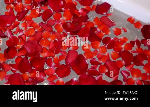 Bath full water bathtub Stock Videos & Footage - HD and 4K Video Clips ...