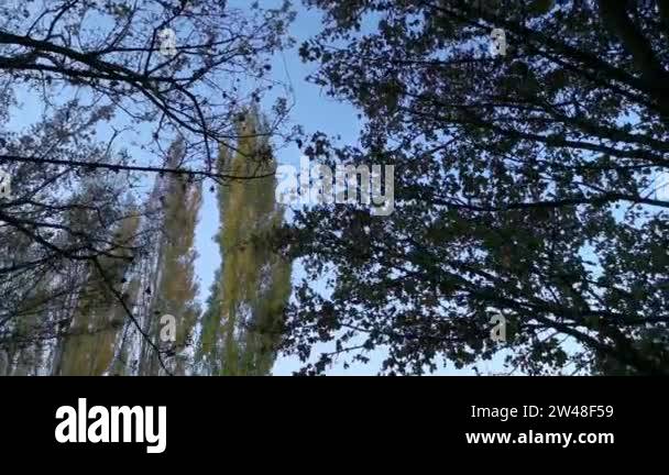 Reservoir view with trees Stock Videos & Footage - HD and 4K Video ...