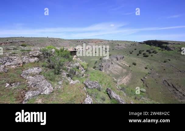 Canyon mountain lion Stock Videos & Footage - HD and 4K Video Clips - Alamy