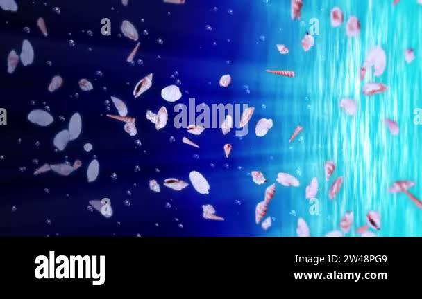 Flying many sea shells in blue water. Collection of realistic shellfish ...