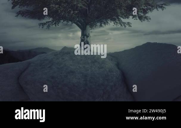 Bodhi tree gautama Stock Videos & Footage - HD and 4K Video Clips - Alamy