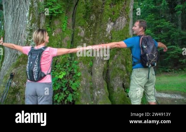 Holding hands around a tree Stock Videos & Footage - HD and 4K Video ...