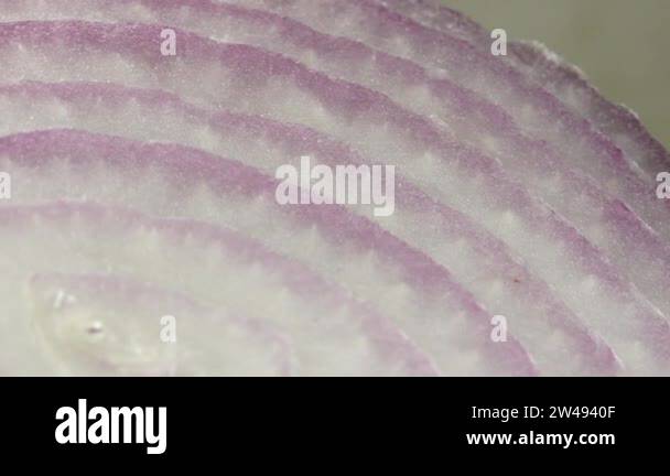 Sliced red onion rings rotating in 4K. Closeup top view of healthy food ...