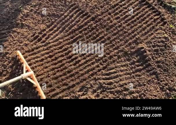 Gardener grading out soil with a rake. Unrecognizable person's hands ...
