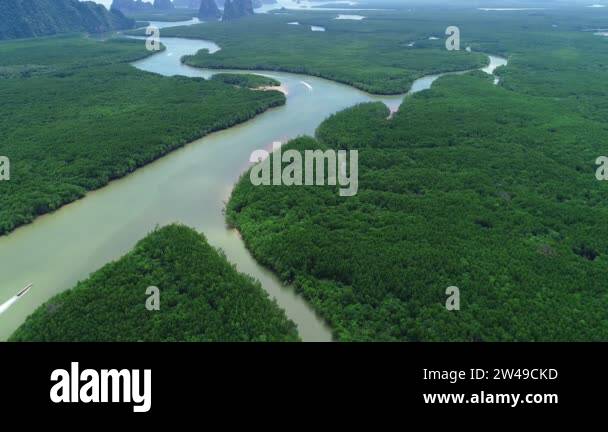 Aerial view Beautiful greenery mangrove forest with mountains peak ...