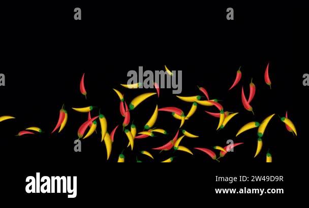 Chili peppers flying and rotating on a black background. Animation of ...