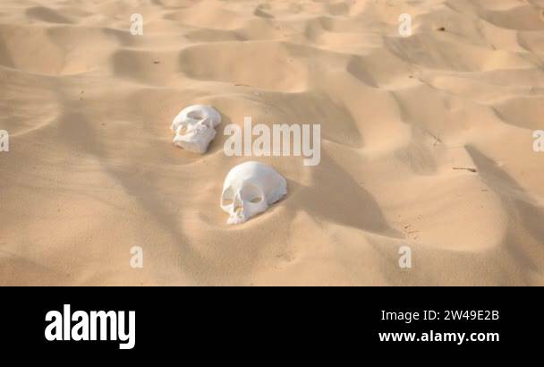 White humans Stock Videos & Footage - HD and 4K Video Clips - Alamy