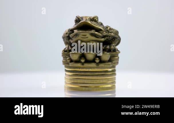 Pile frog Stock Videos & Footage - HD and 4K Video Clips - Alamy