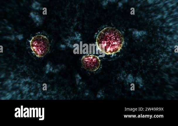 Virus and bacteria under the microscope. Coronavirus, COVID-19 ...