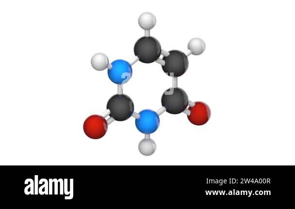 Uracil. Nitrogenous base molecular structure (DNA and RNA parts ...