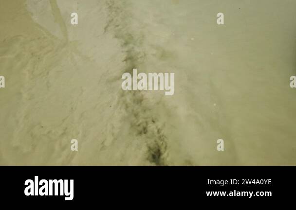Dalyan mud bath Stock Videos & Footage - HD and 4K Video Clips - Alamy