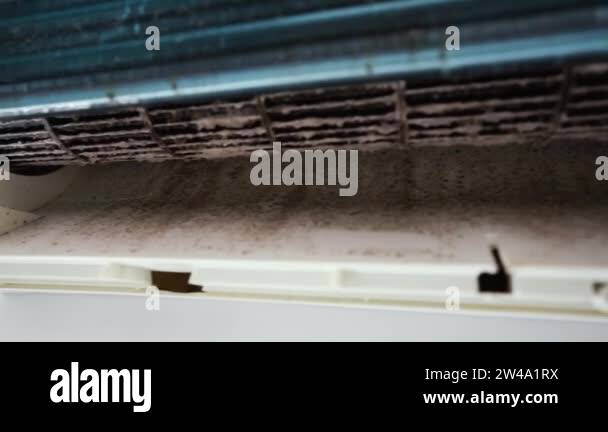 Dust, dirt and mold on the fan, the radiator in the inside of the ...