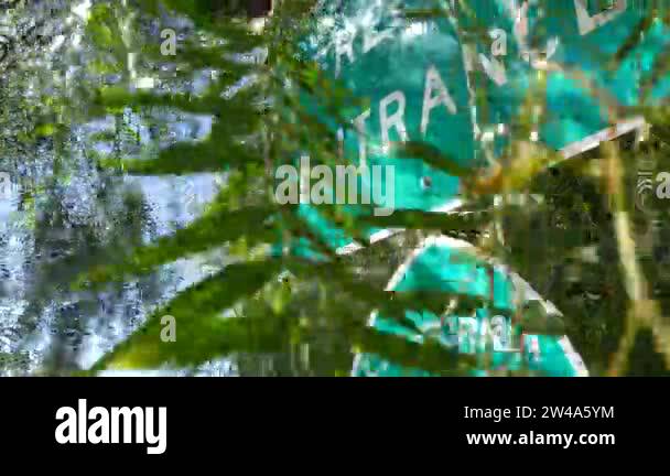 Freeway entrance sign on interchange crossraod in San Diego county ...