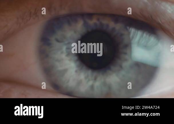 Beautiful blue eye opening up and pupil contracts and dilates when ...