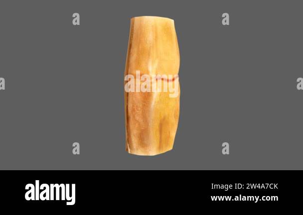 Bleached bone Stock Videos & Footage - HD and 4K Video Clips - Alamy