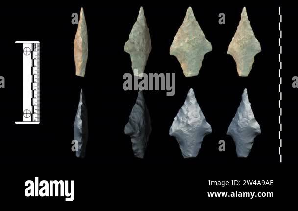 Paleolithic artifacts animation 3d model animation Stock Video Footage ...