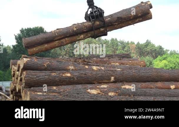 Sawing machine at wood production factory. Timber material processing ...
