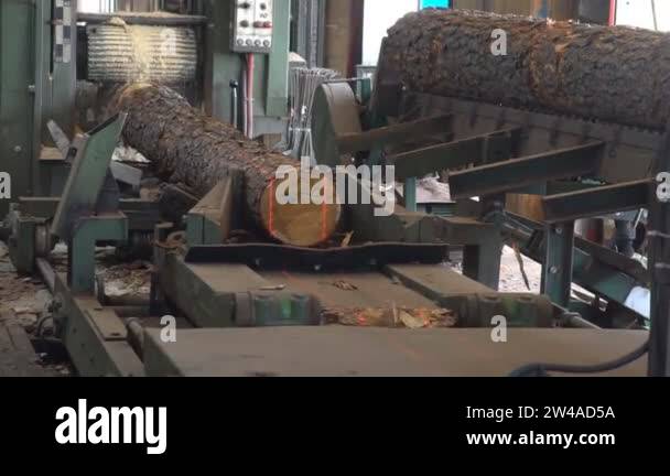 Sawing machine at wood production factory. Timber material processing ...