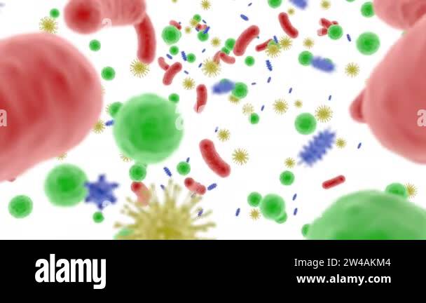 Gut microbiota animation microbes in Stock Videos & Footage - HD and 4K ...