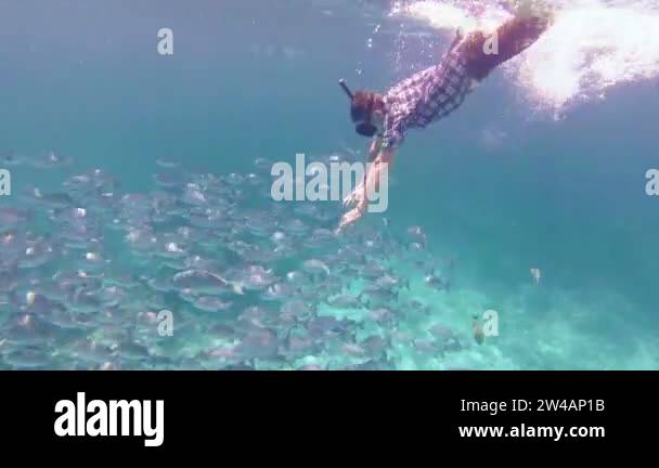 Tourist Swims With a School of Fish off Thailand's Similan Islands ...