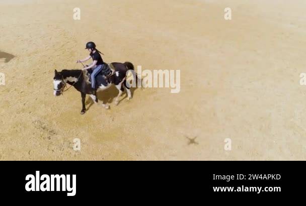 Children kids learning a lesson riding a horse at farmland ranch ...
