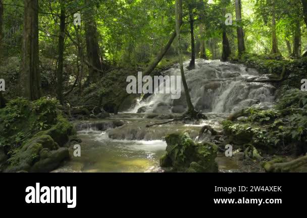 The beauty of waterfall is hidden in green forest during rainy season ...