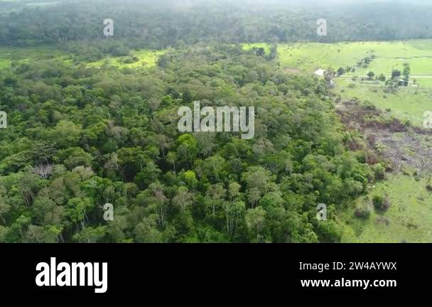Peru deforestation Stock Videos & Footage - HD and 4K Video Clips - Alamy