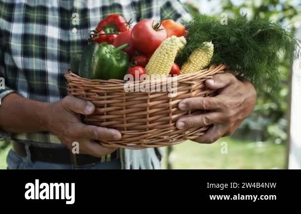 Freshness vegetables in basket Stock Videos & Footage - HD and 4K Video ...