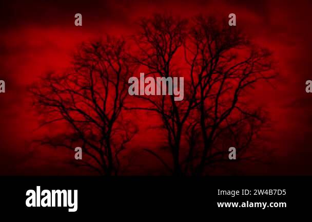 Toxic for trees Stock Videos & Footage - HD and 4K Video Clips - Alamy