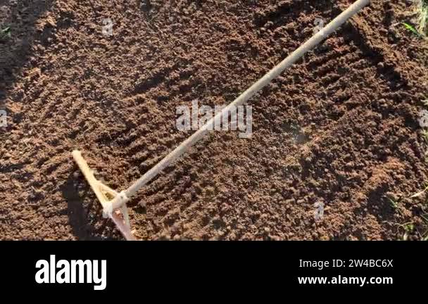 Gardener grading out soil with a rake. Unrecognizable person's hands ...